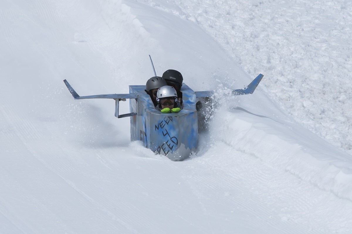Cardboard Derby - Purgatory Resort