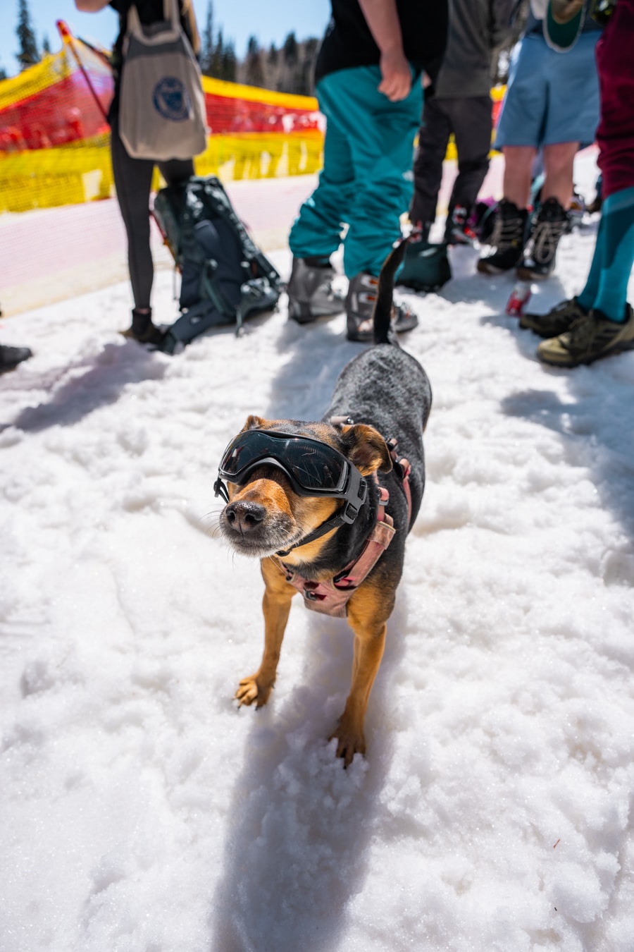 Pond Skim 2024 - Purgatory Resort